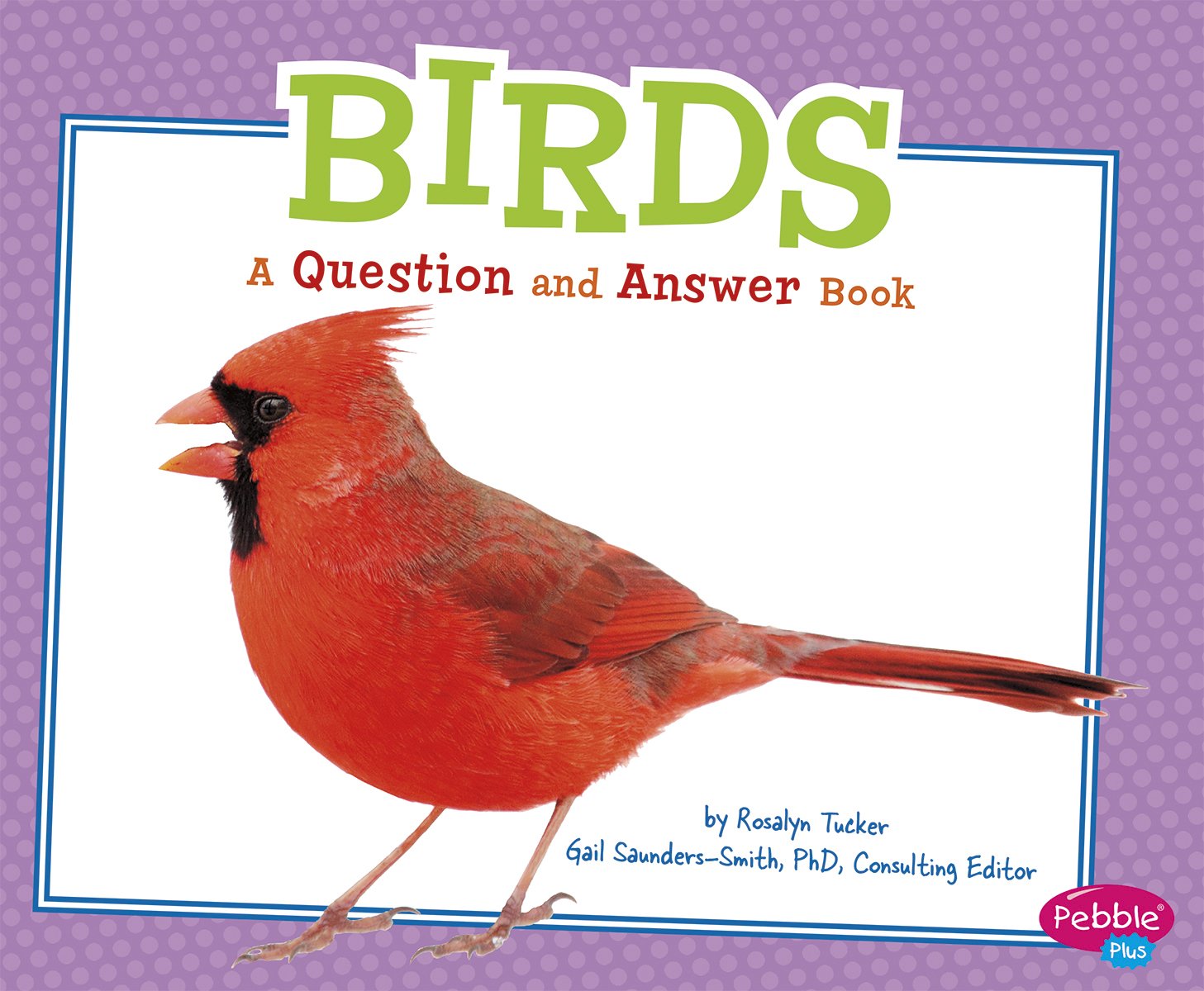 Birds: A Question and Answer Book (Pebble Plus: Animal Kingdom ...