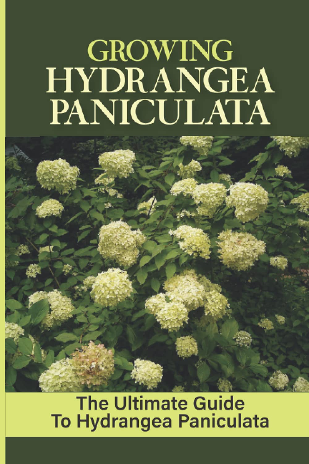 Growing Hydrangea Paniculata The Ultimate Guide To Hydrangea Paniculata