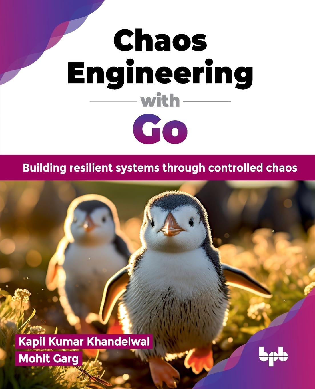 Chaos Engineering with Go: Building resilient systems through controlled chaos (English Edition ...