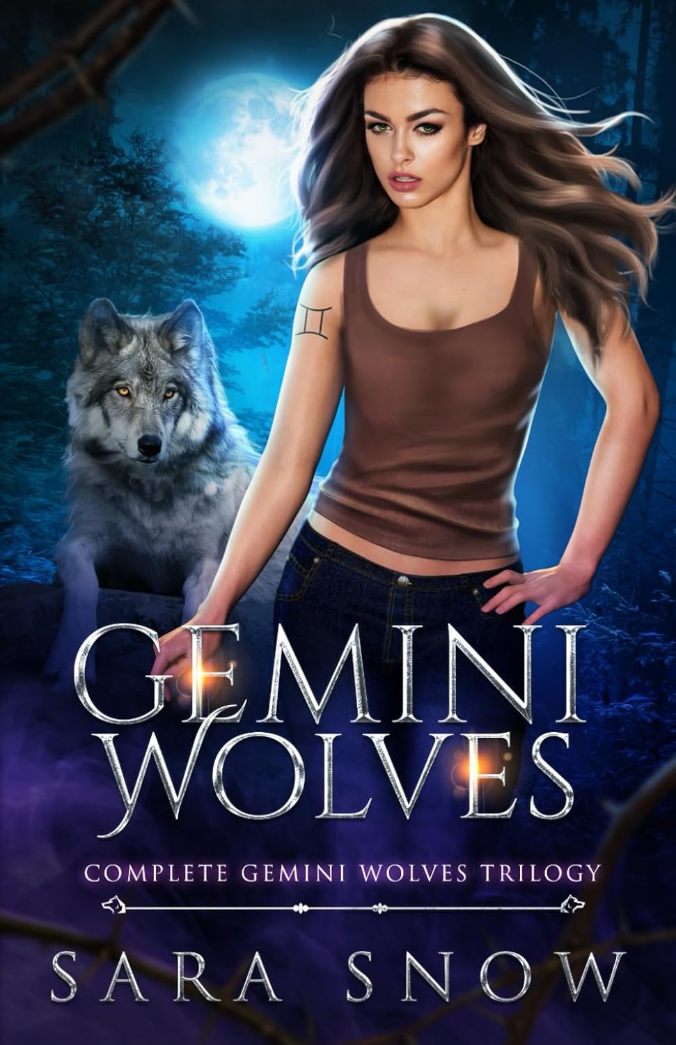 Amazon.com: Gemini Wolves Trilogy Complete Set: A Dark Shifter Romance Series: 9798866413942 ...