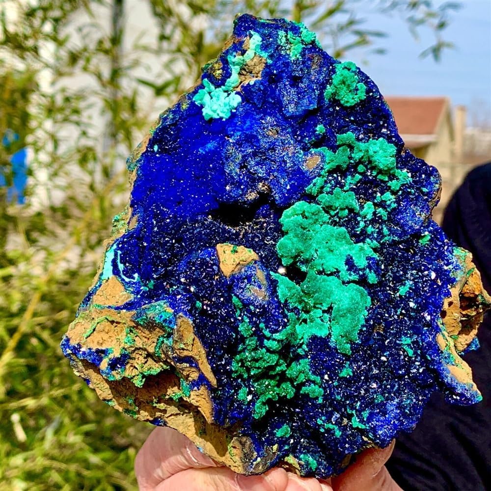 Amazon.com: AtkitS Natural Azurite Symbiosis Malachite Quartz Crystal ...