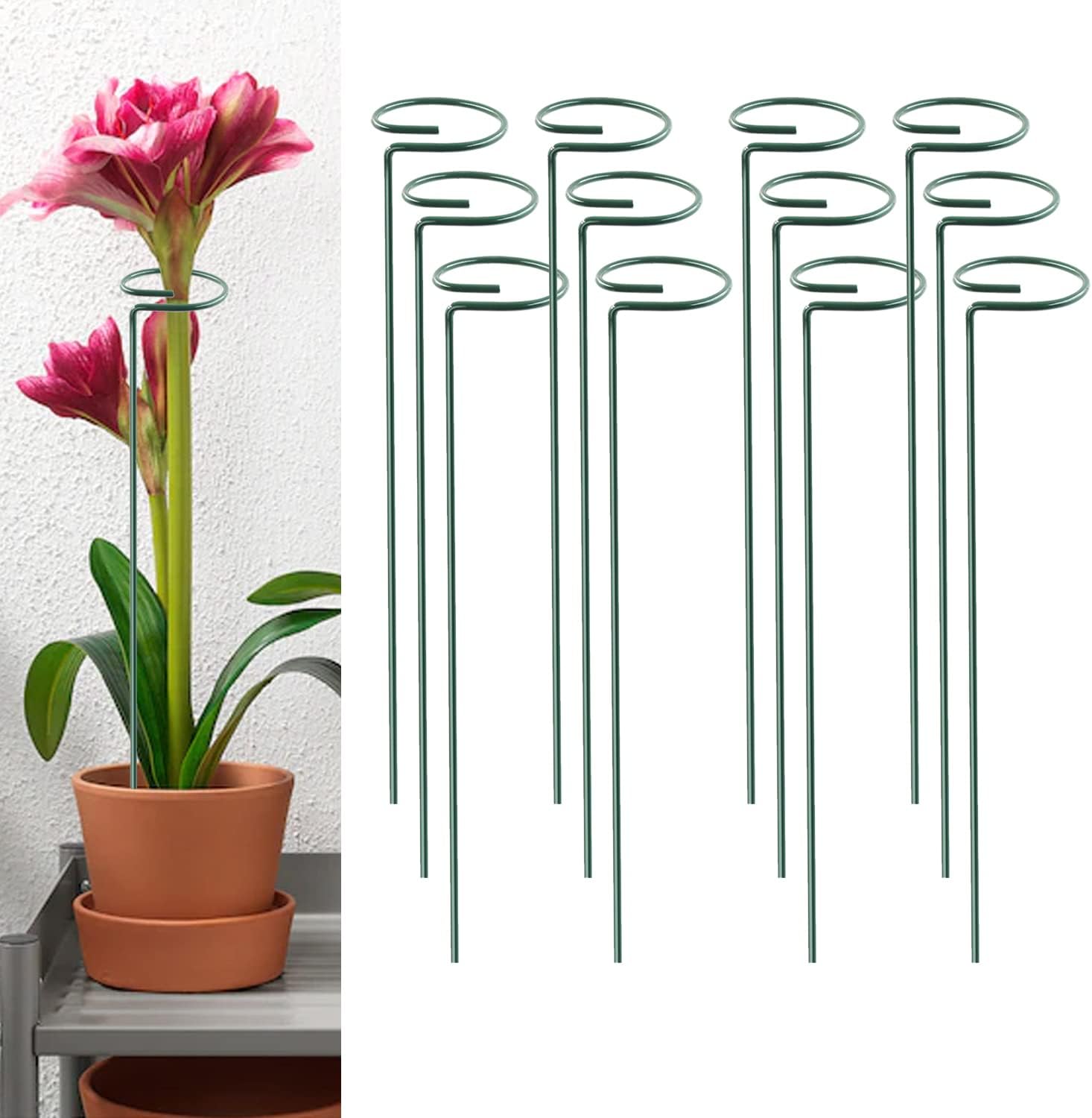 Amazon.com : 12 Pack Plant Support Stakes, Garden Single Stem Flower ...