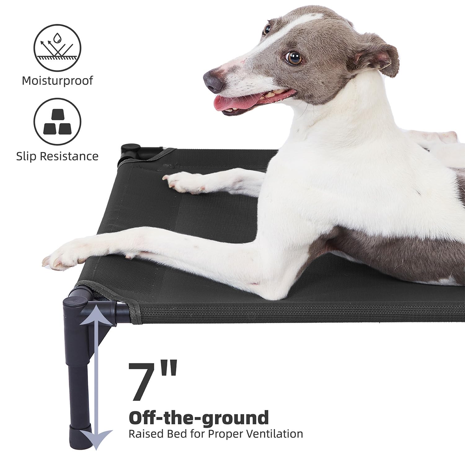 Snapklik.com : Pettycare Elevated Outdoor Dog Bed - Dog Cots For Small ...