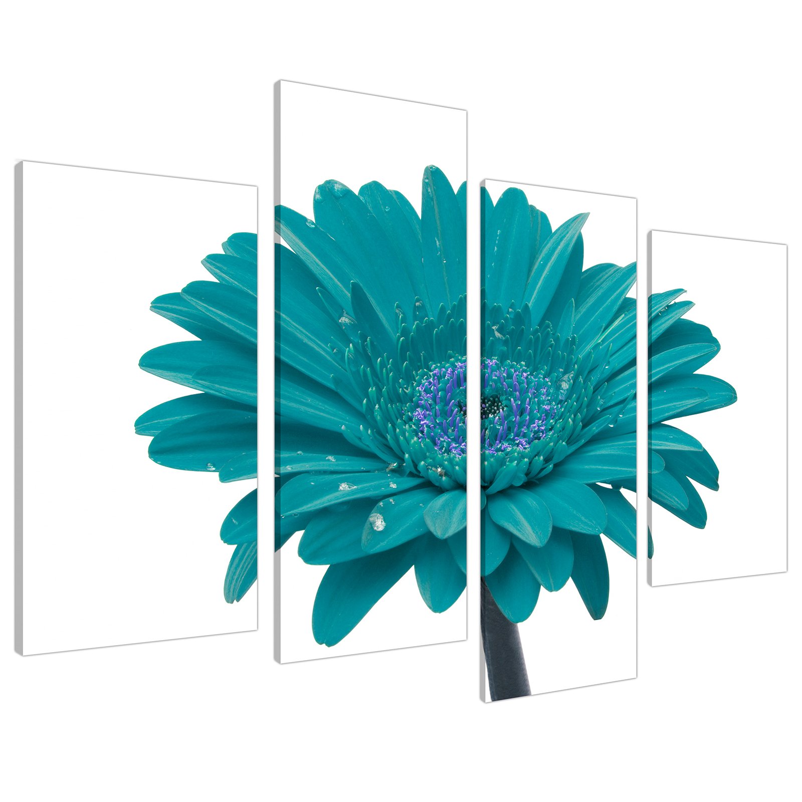Gerberas Daisy Teal Art Gerbera Daisies Framed Art Wall Art: Prints,