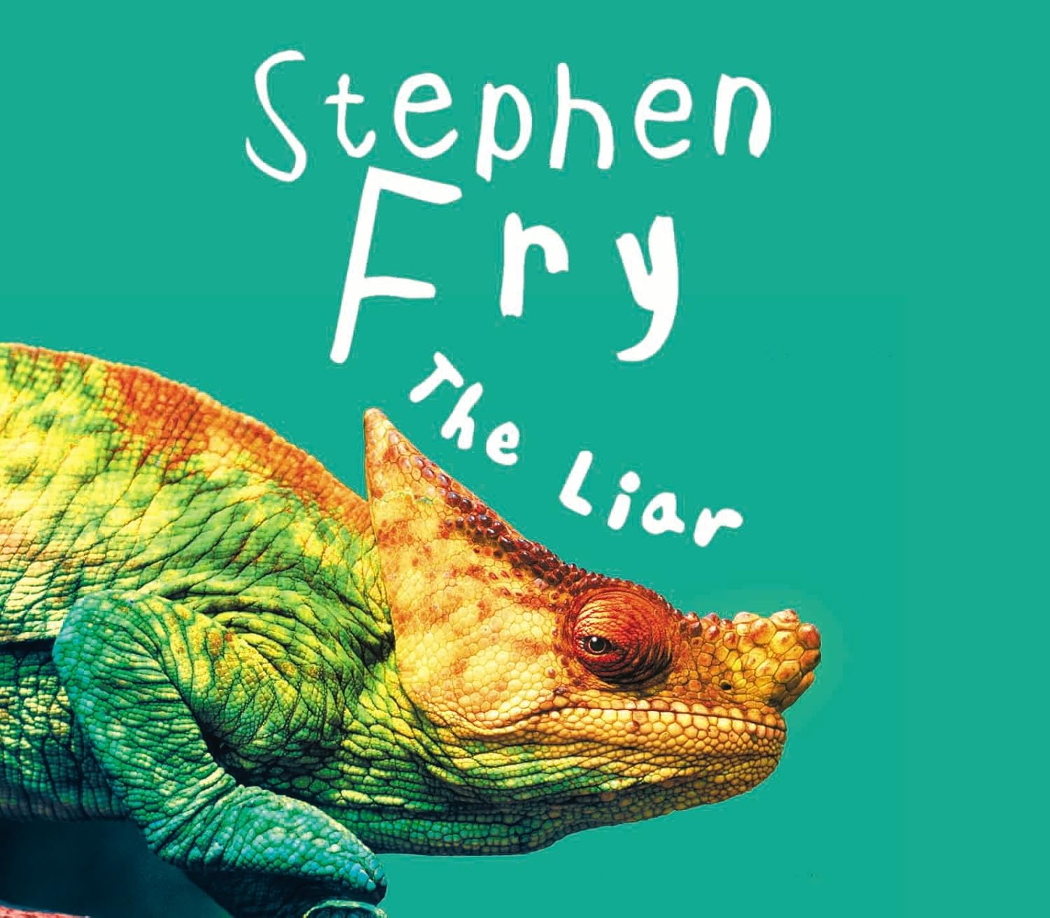 Amazon.com: The Liar: 9781846572753: Fry, Stephen: Books