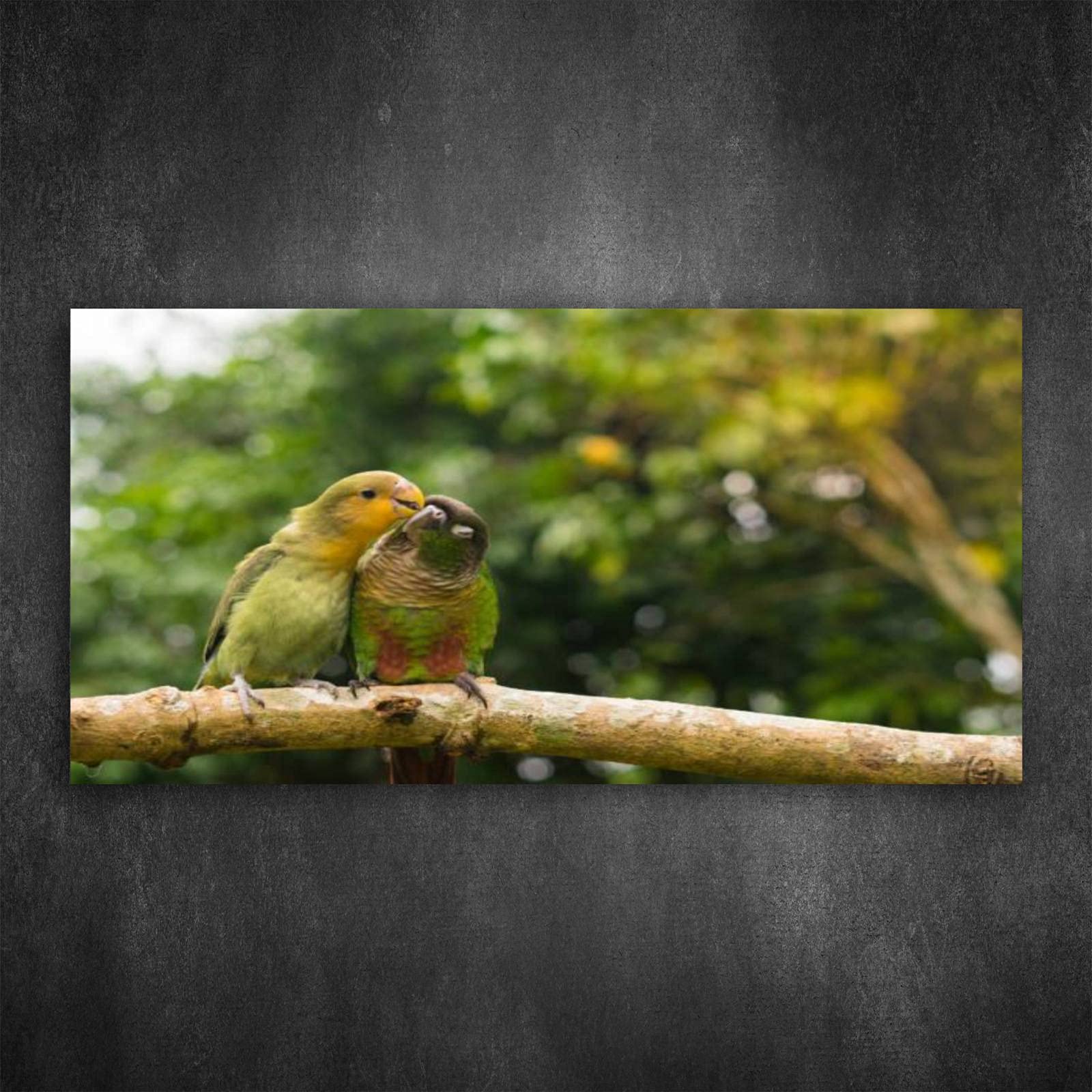 Green Cheek Conure Art