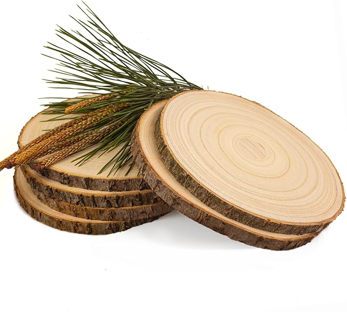 Amazon.com: Natural Wood Slices 8-9 Inches 6 Pcs Large Wood Slices for ...