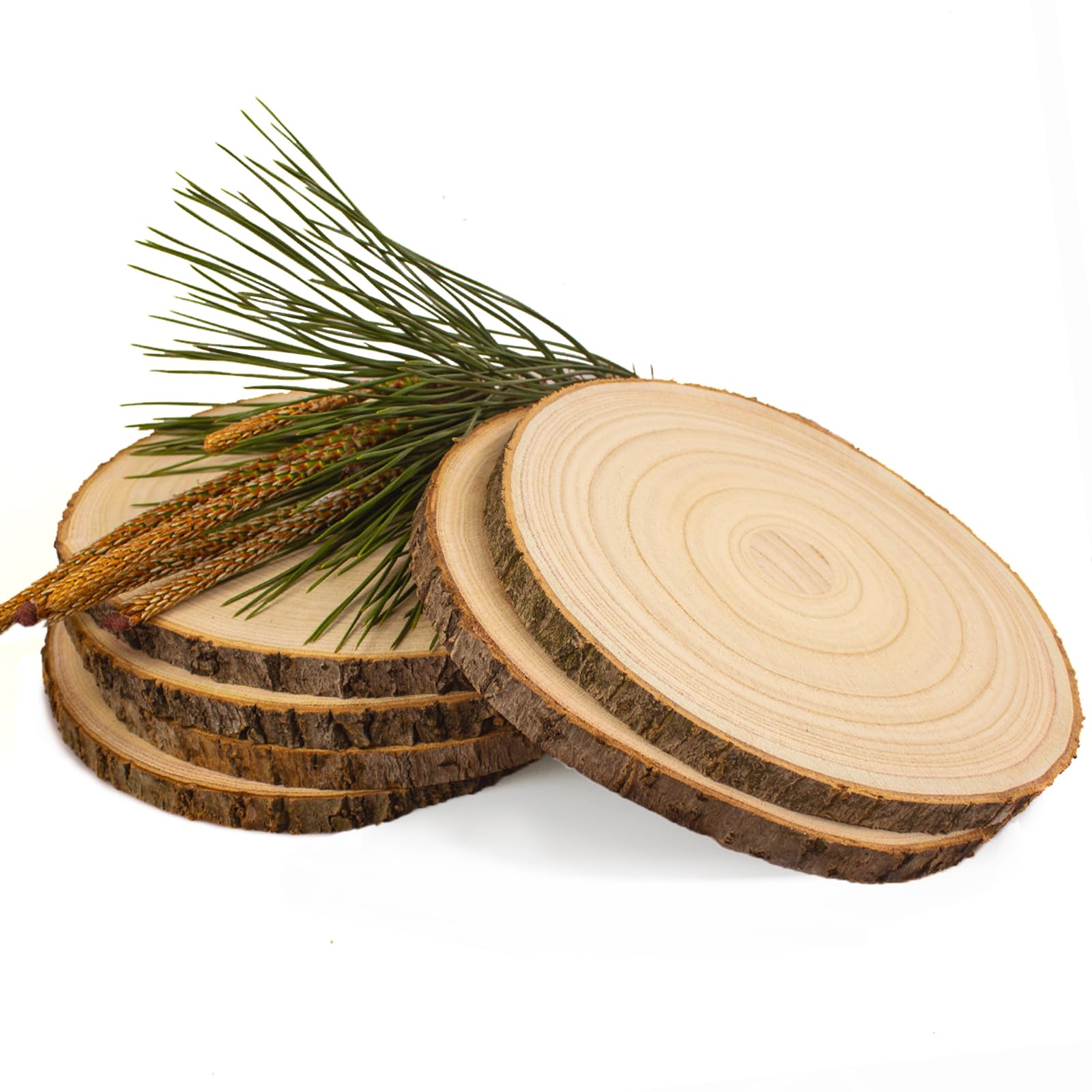 Amazon.com: Natural Wood Slices 8-9 Inches 6 Pcs Large Wood Slices for ...