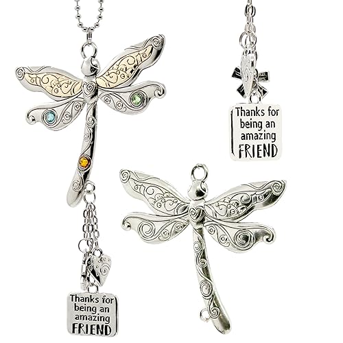 Dragonfly Symbolism And Meaning in Different Cultures