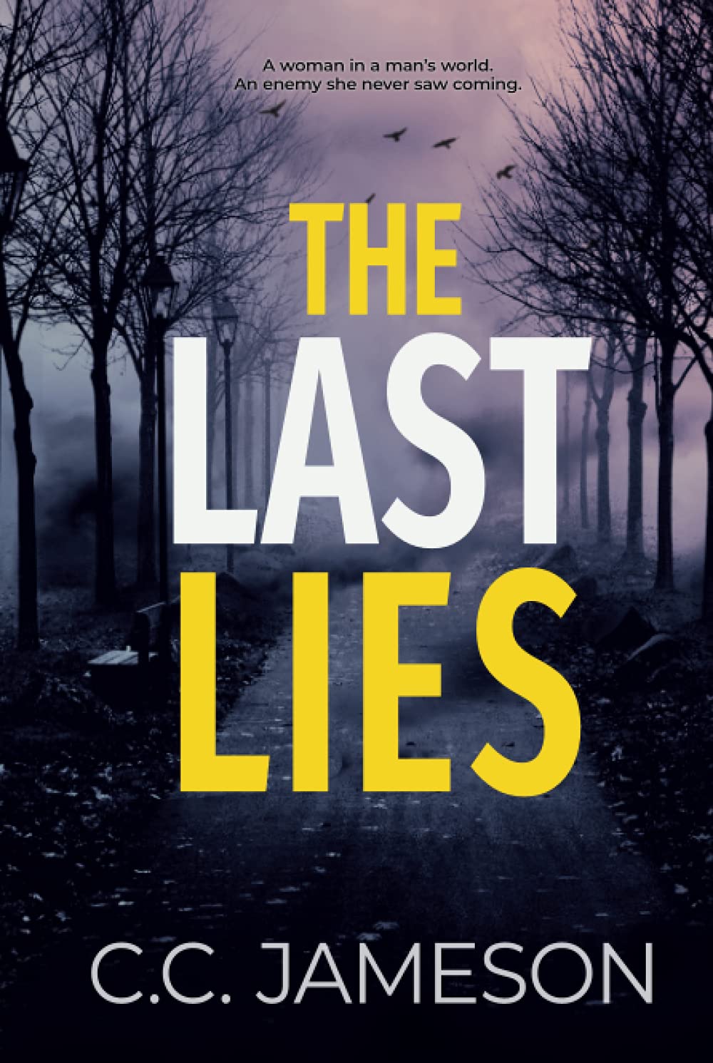 The Last Lies: Kate's Story: A Police Procedural with a Dark Secret ...