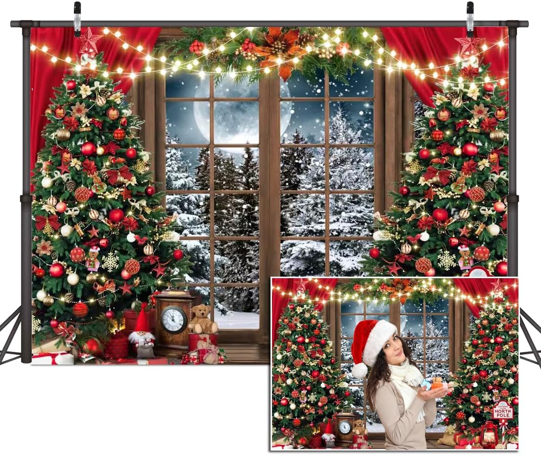 Amazon.com : Dudaacvt 7x5ft Christmas Backdrop Christmas Window ...