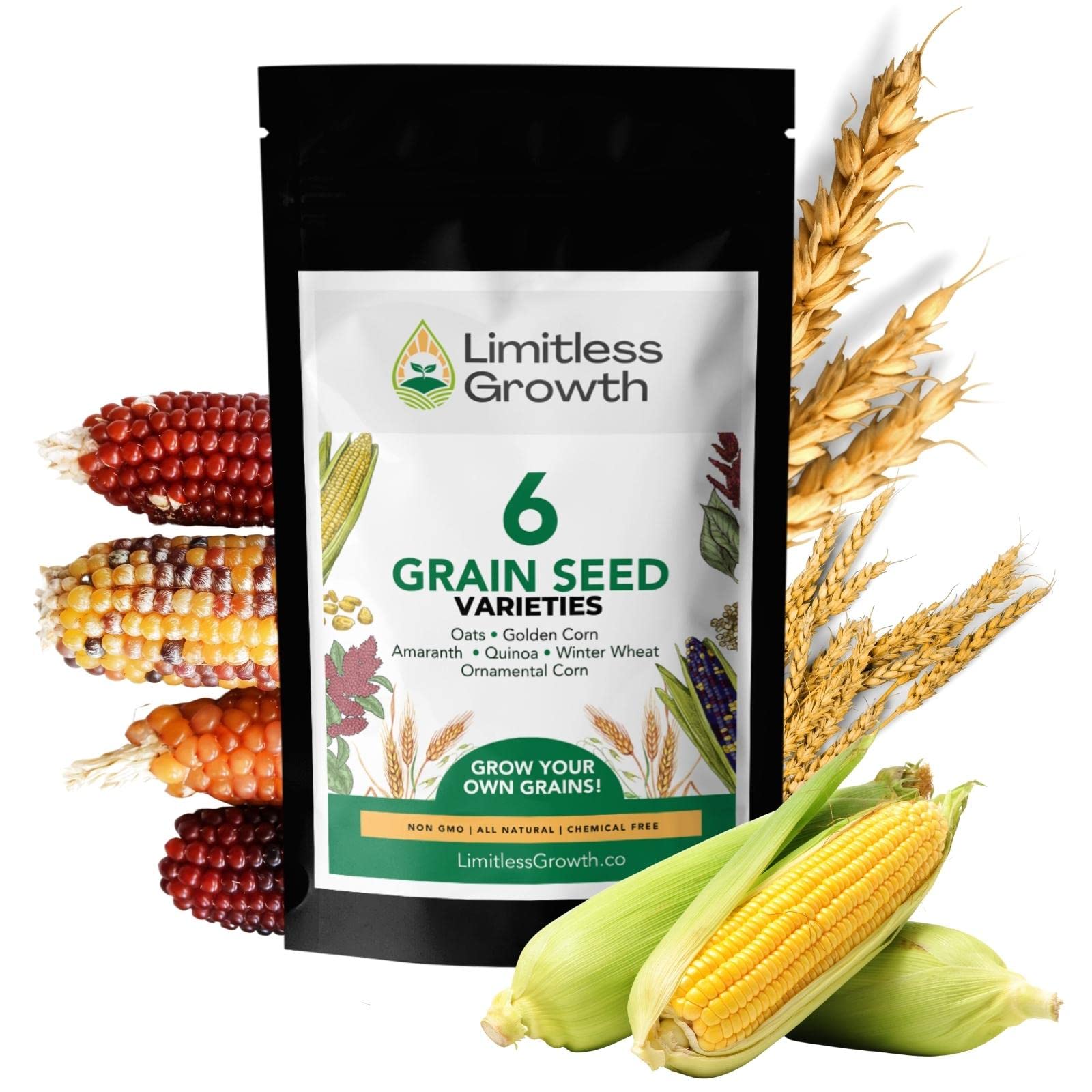 Grain Seeds - 6 Varieties - Corn, Ornamental Corn, Amaranth, Quinoa ...
