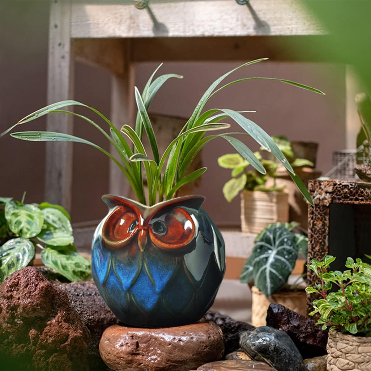 Amazon.com : MONMOB 7Inch Ceramic Owl Wall Planter Hanging Planter ...