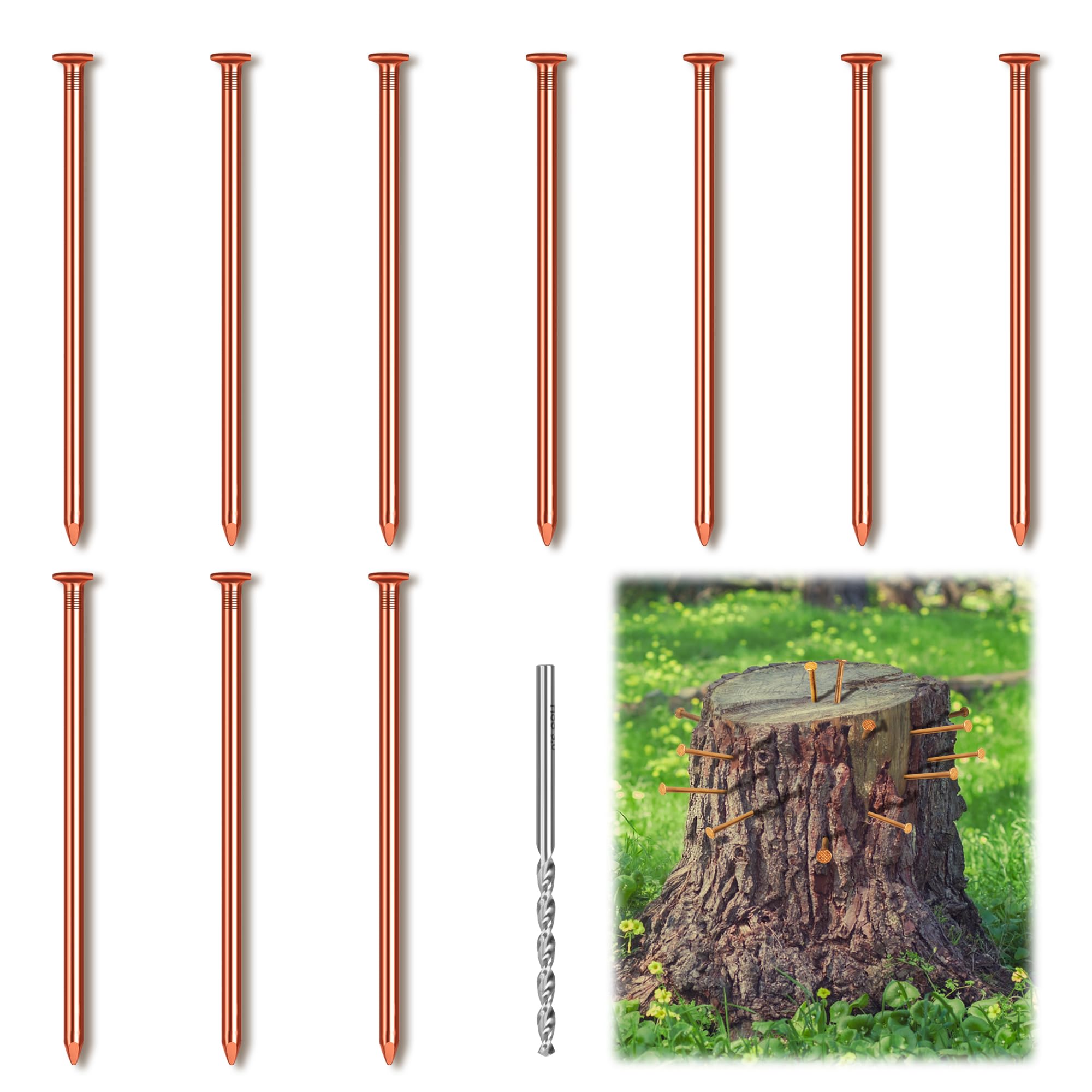 Amazon.com: UNIFAMILY 10pcs Copper Nails for Killing Trees Stump Root ...