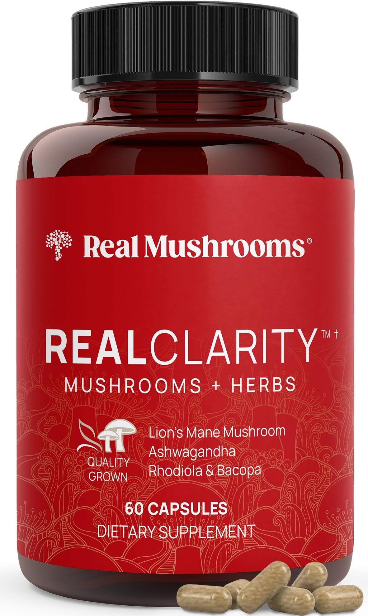 Amazon.com: Lion’s Mane Organic Mushroom Extract Oriveda 2-Pack ...