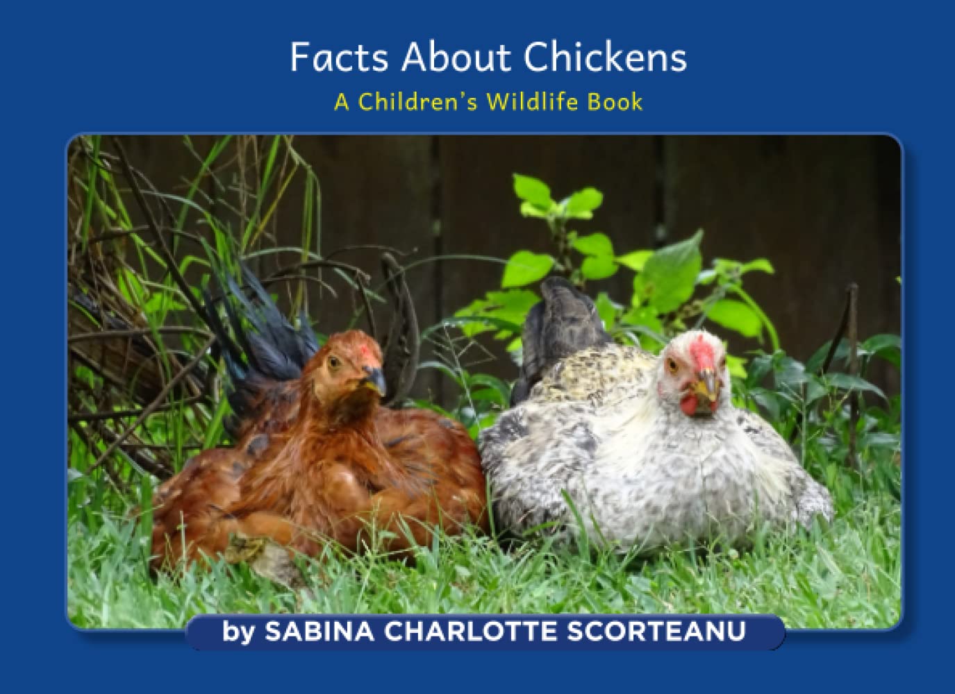Facts about Chickens: A Children's Wildlife Book: Scorteanu, Sabina ...
