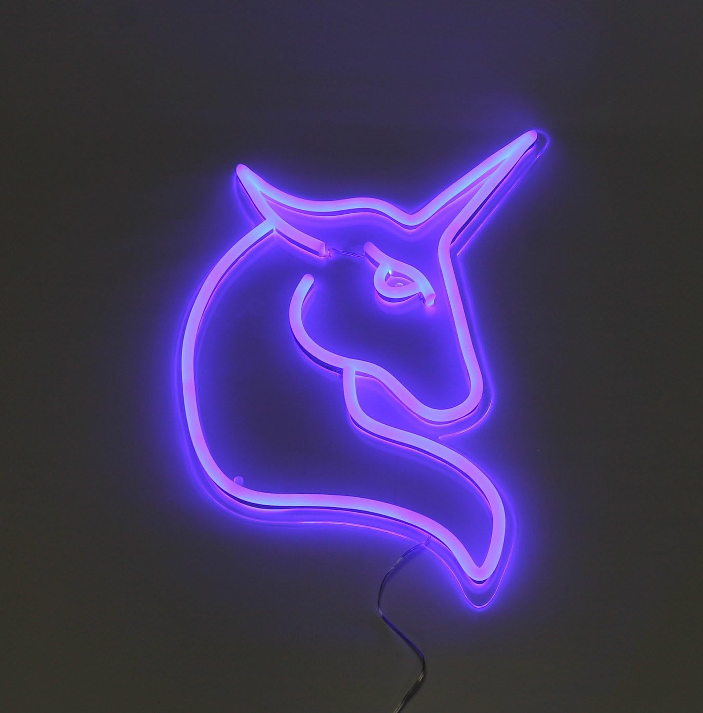 Amazon.com : DIY Neon Sign Light Modern Home Wall Trends Décor Yolo ...