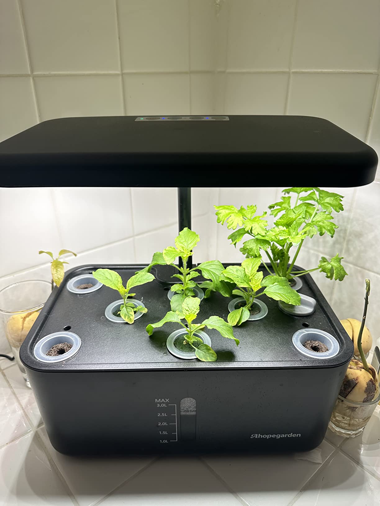 $8/mo - Finance Indoor Garden Hydroponic Growing System: Plant ...