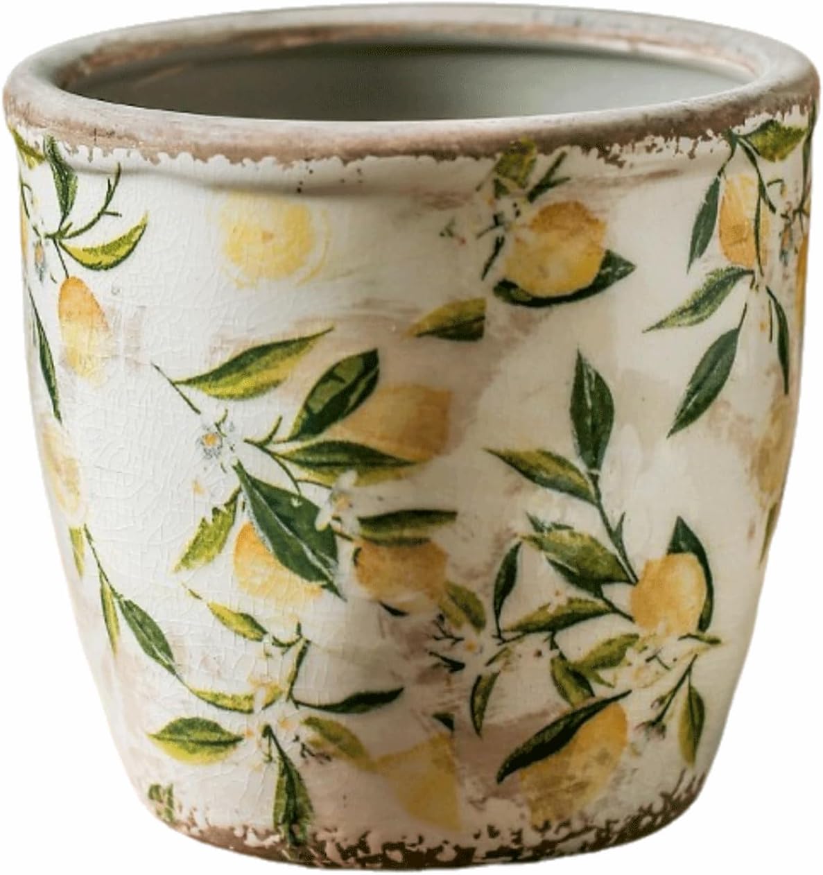 Amazon.com: Act Iron Plant Pots Spring Lemons Pattern Planter Succulent ...