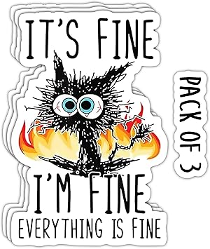 Amazon.com: IMPERIAL VIBES - It's Fine I'm Fine Everything is Fine ...