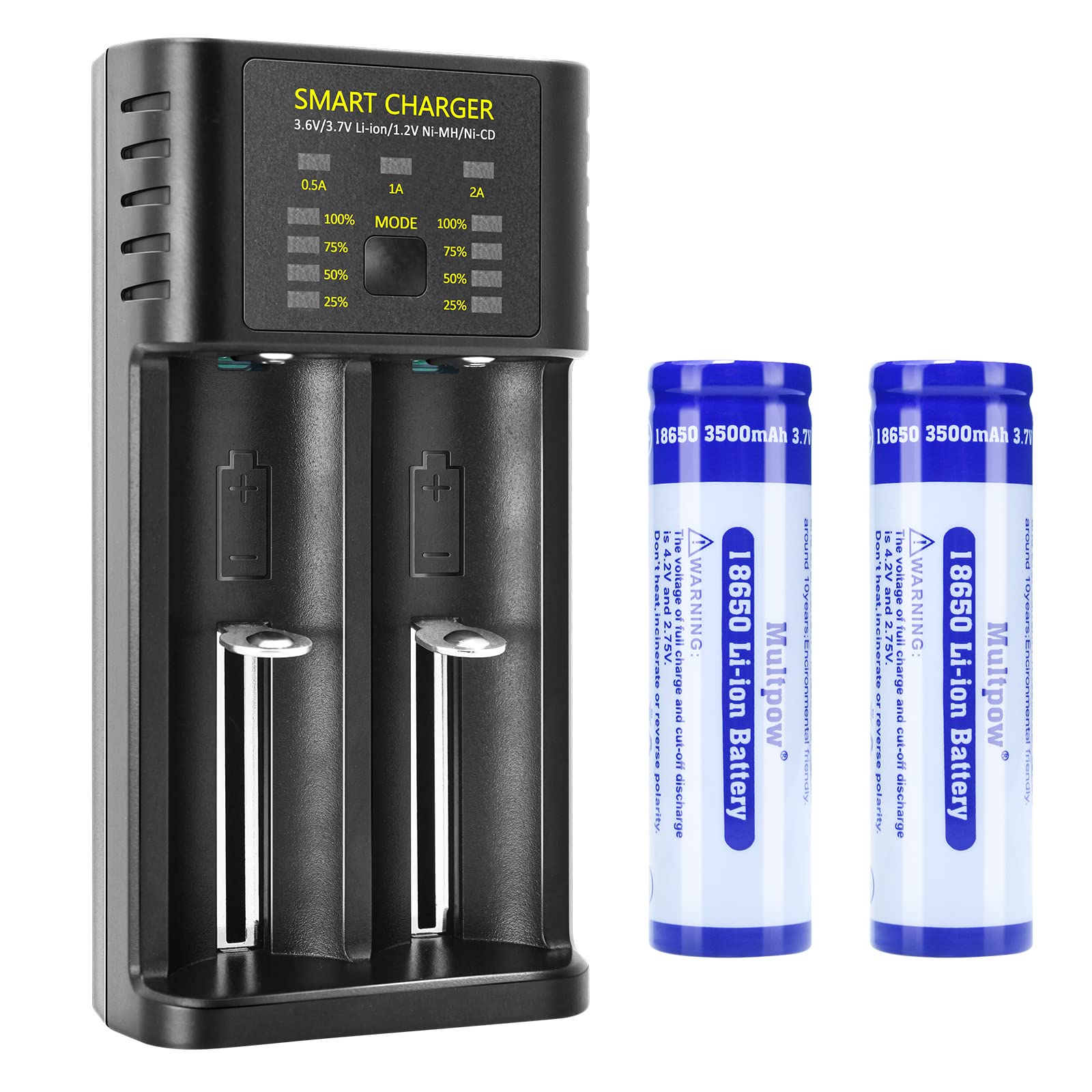 Buy Universal Intelligent Battery Charger, Dual Battery Charger with 2 ...