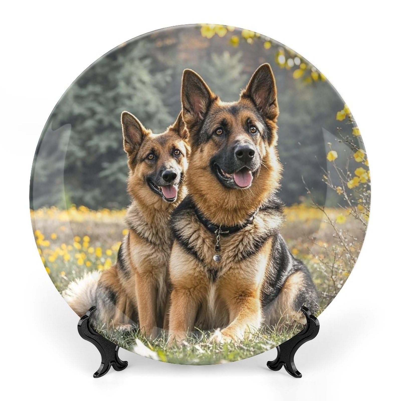 Amazon.com | Bone China Decorative Plate 6inch Ceramic Dinner Plate ...