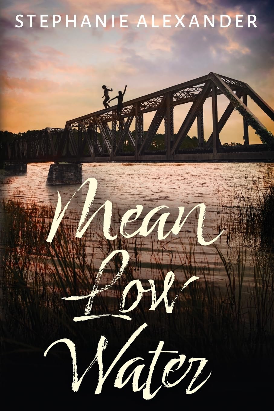 Mean Low Water: Alexander, Stephanie: 9781958231548: Amazon.com: Books
