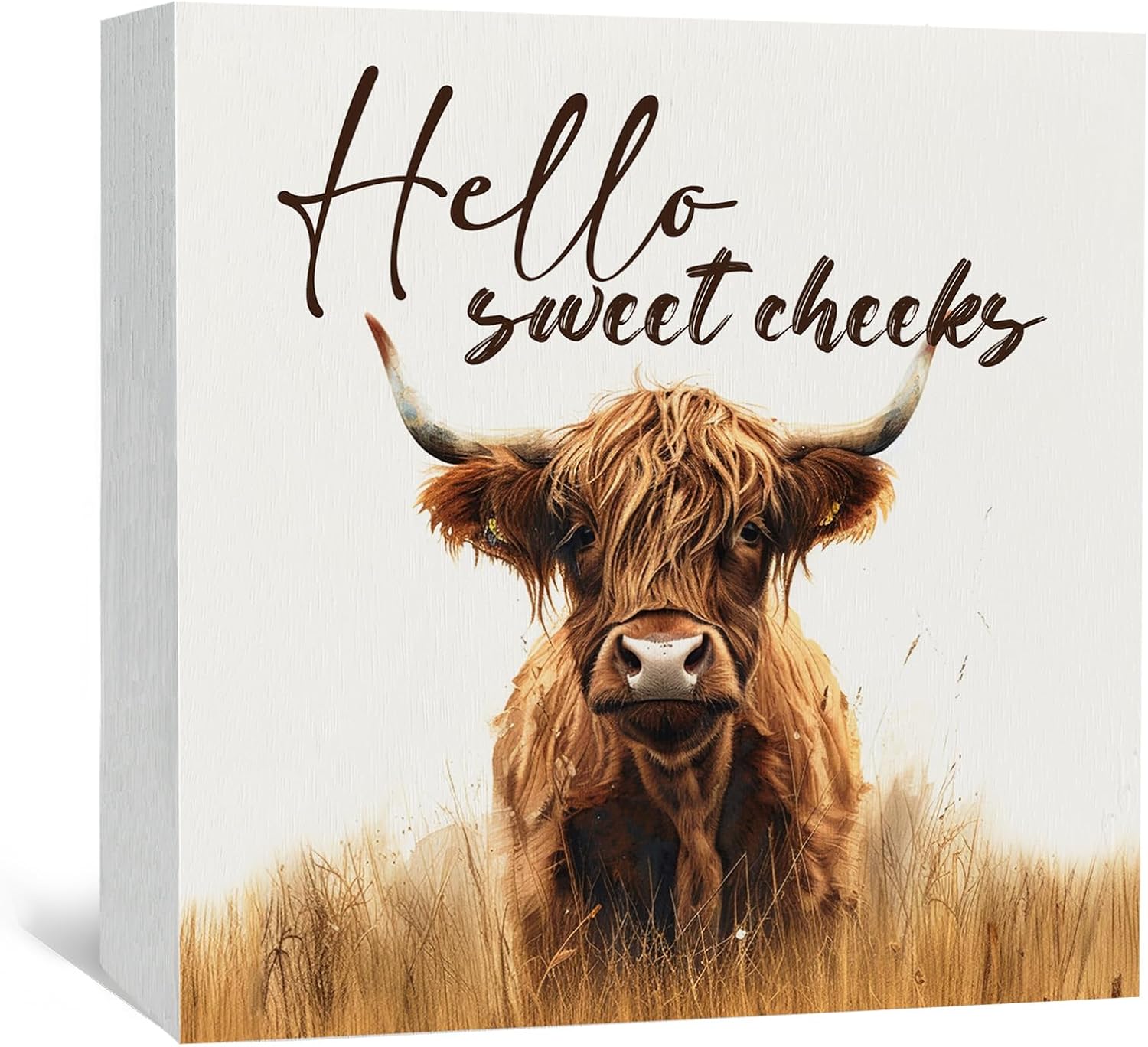 Amazon.com: Nitelat Funny Western Highland Cow Sign, Hello Sweet Cheeks ...