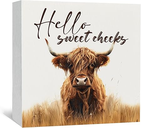 Amazon.com: Nitelat Hello Sweet Cheeks Bathroom Sign, Western Highland ...