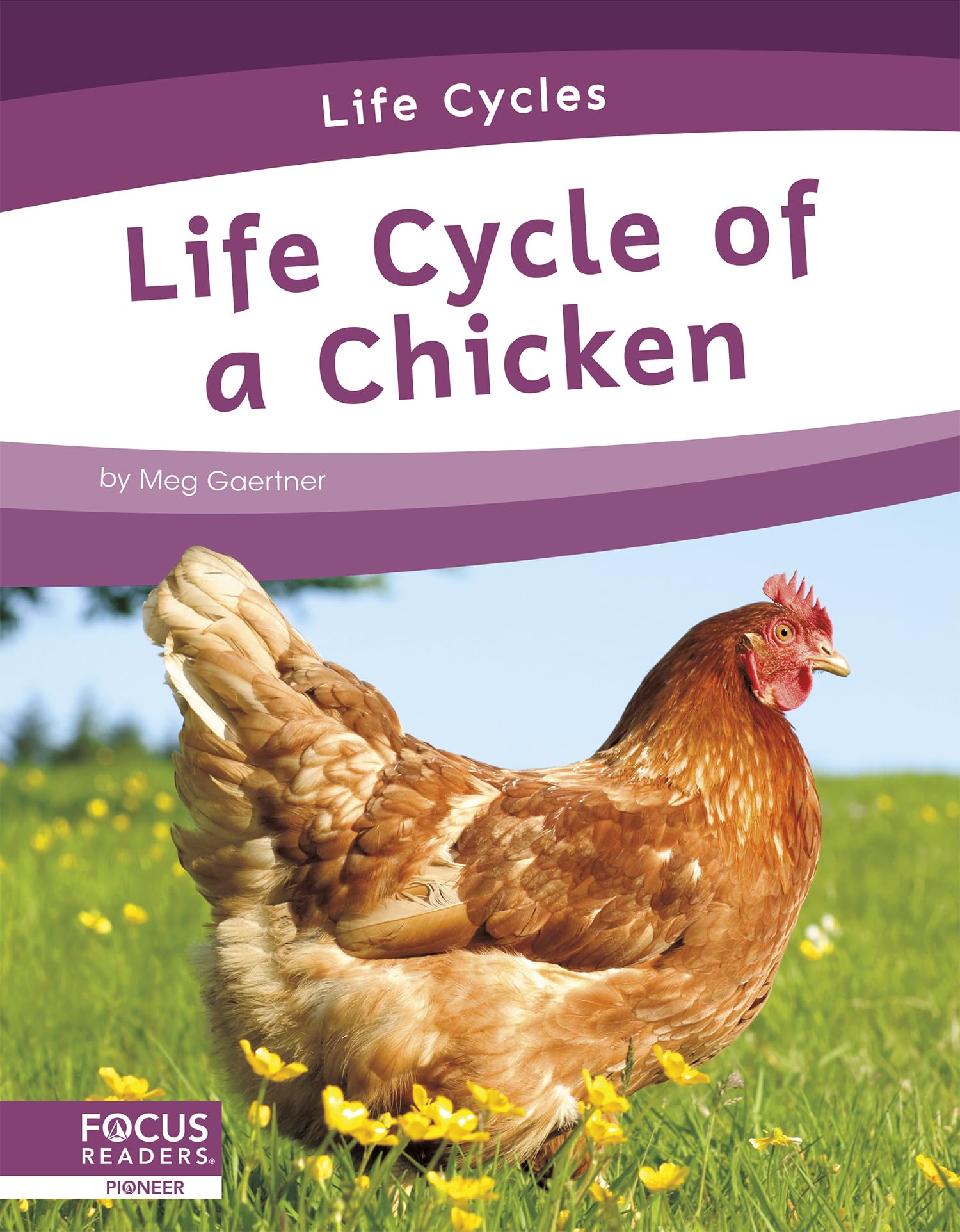 Life Cycle of a Chicken (Life Cycles): Meg Gaertner: 9781644938737 ...
