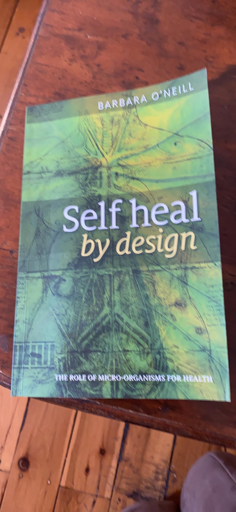 Self Heal By Design - By Barbara O'Neill: The Role Of Micro-Organisms ...