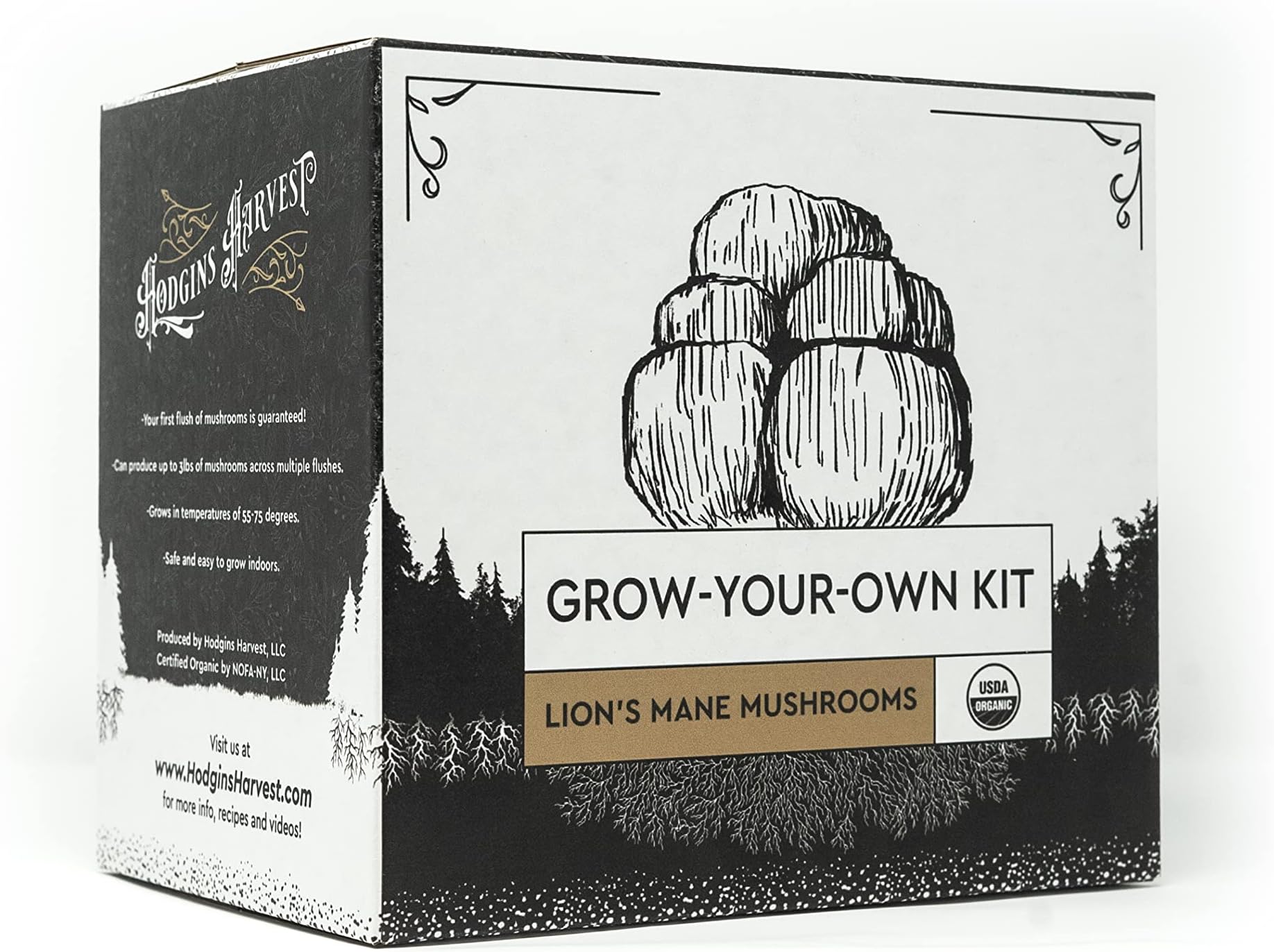 Amazon.com : 100 Lion's Mane Mushroom Spawn Plugs/Dowels to Inoculate ...