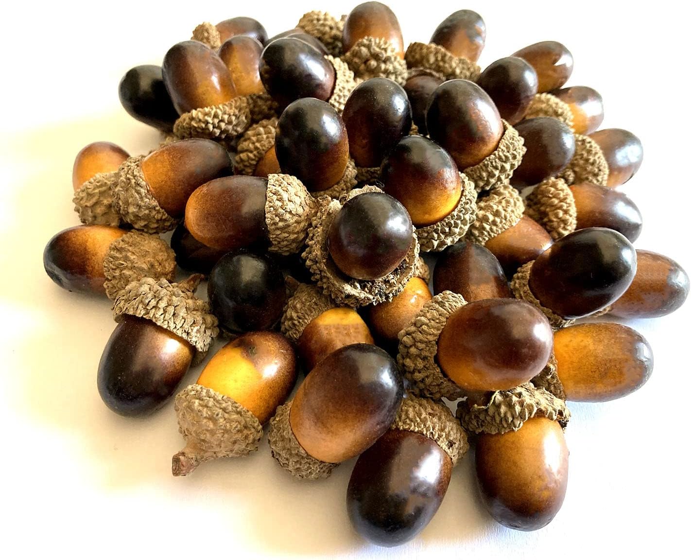 Amazon.com: Gresorth 50pcs Artificial Lifelike Simulation Small Acorn ...