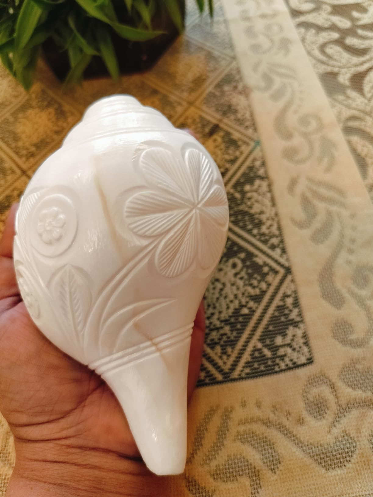 CENTORGANIC Metal Vamavarti Original, Engraved Premium Natural Conch ...