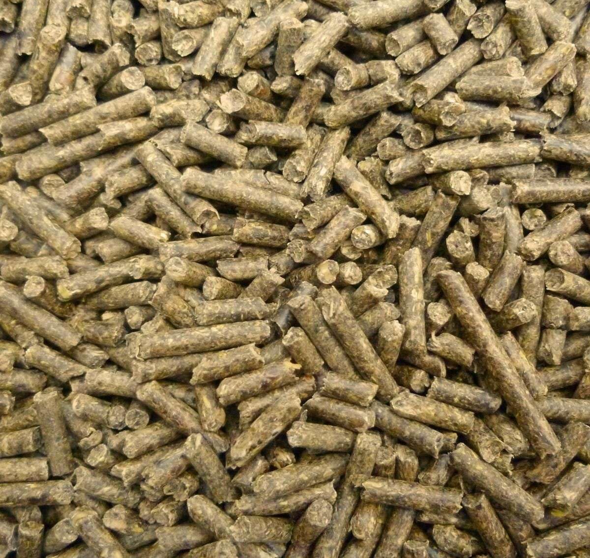 SUPRAVIT Hasenfutter & Kaninchenfutter 5 kg : Amazon.de: Haustier