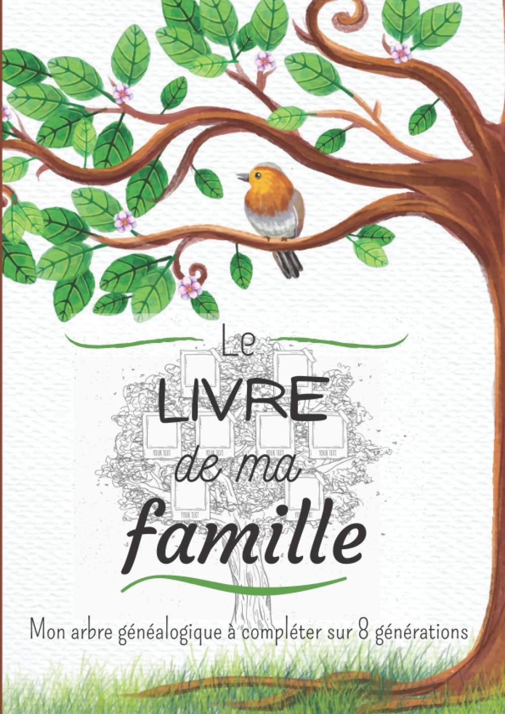 Buy Le livre de ma famille Mon arbre généalogique à compléter sur 8 ...