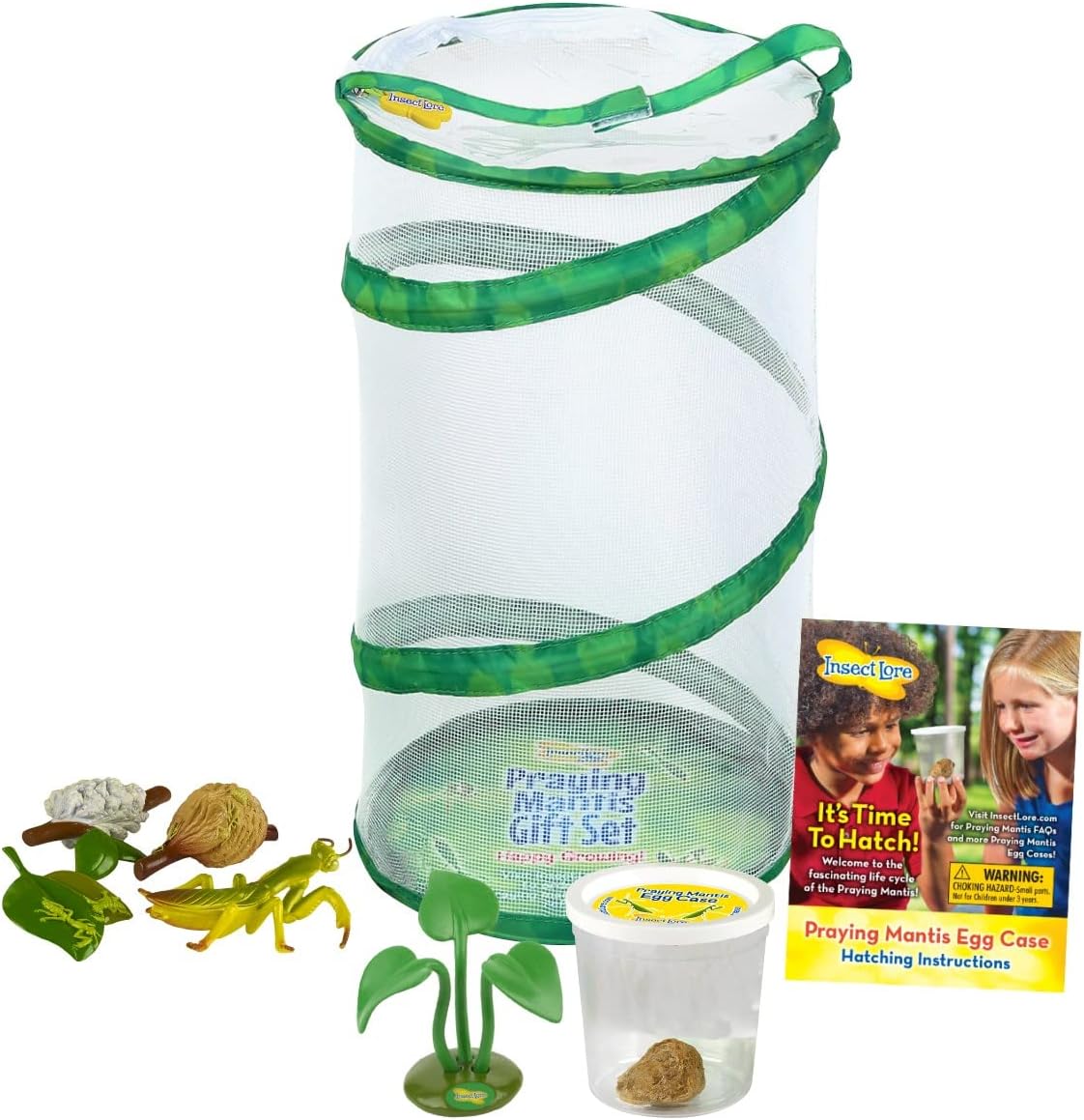 Amazon.com: Insect Lore Praying Mantis Gift Set | Live Egg Case, Egg ...