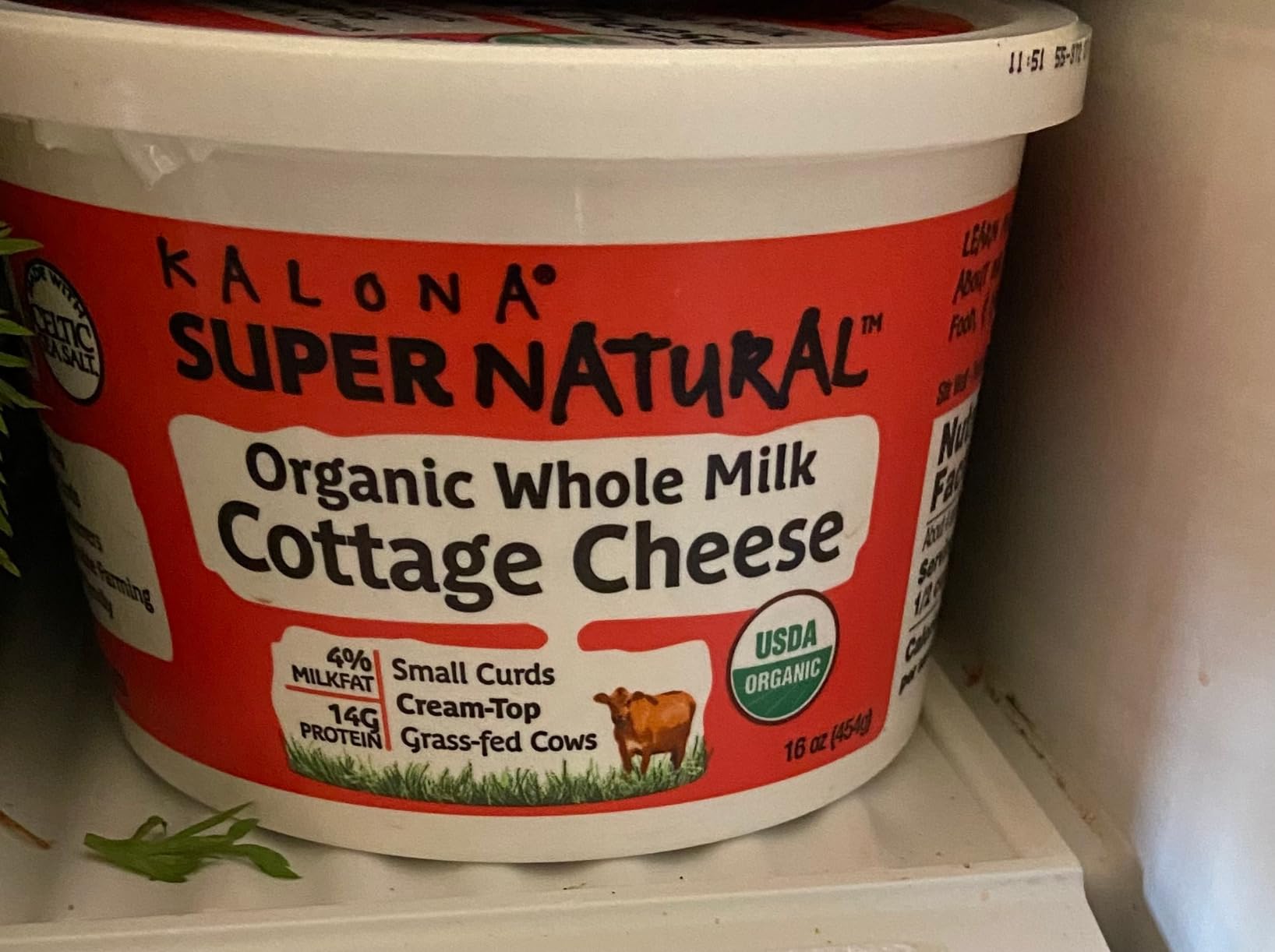 Amazon.com: Kalona Super Natural Organic Whole Milk Cottage Cheese, 16 ...
