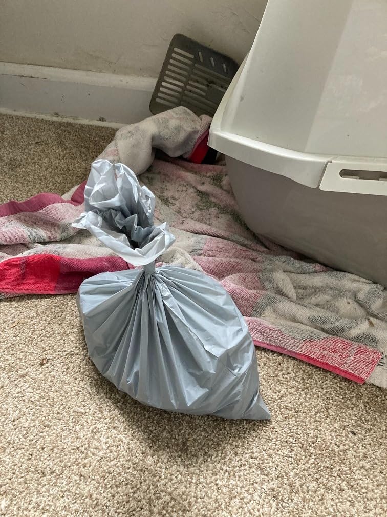 Amazon.com: KOCHO Disposal Odor Proof Bag M Size 90 Bags For Food Waset ...