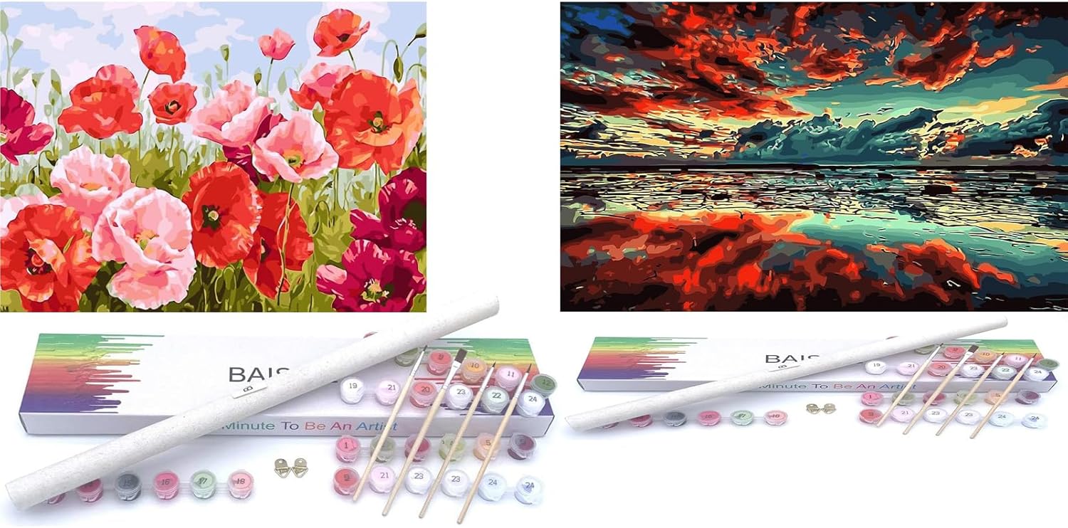 Amazon.com: BAISITE Paint by Numbers Kit for Adults Beginners,16" Wx20 ...