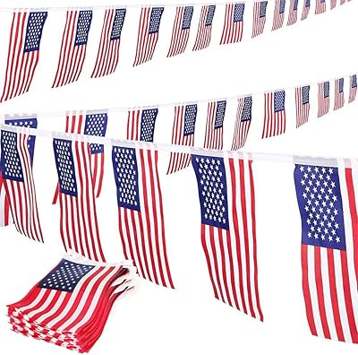 Amazon.com: USA Flags American Small String Mini Flag Pennant Banner ...