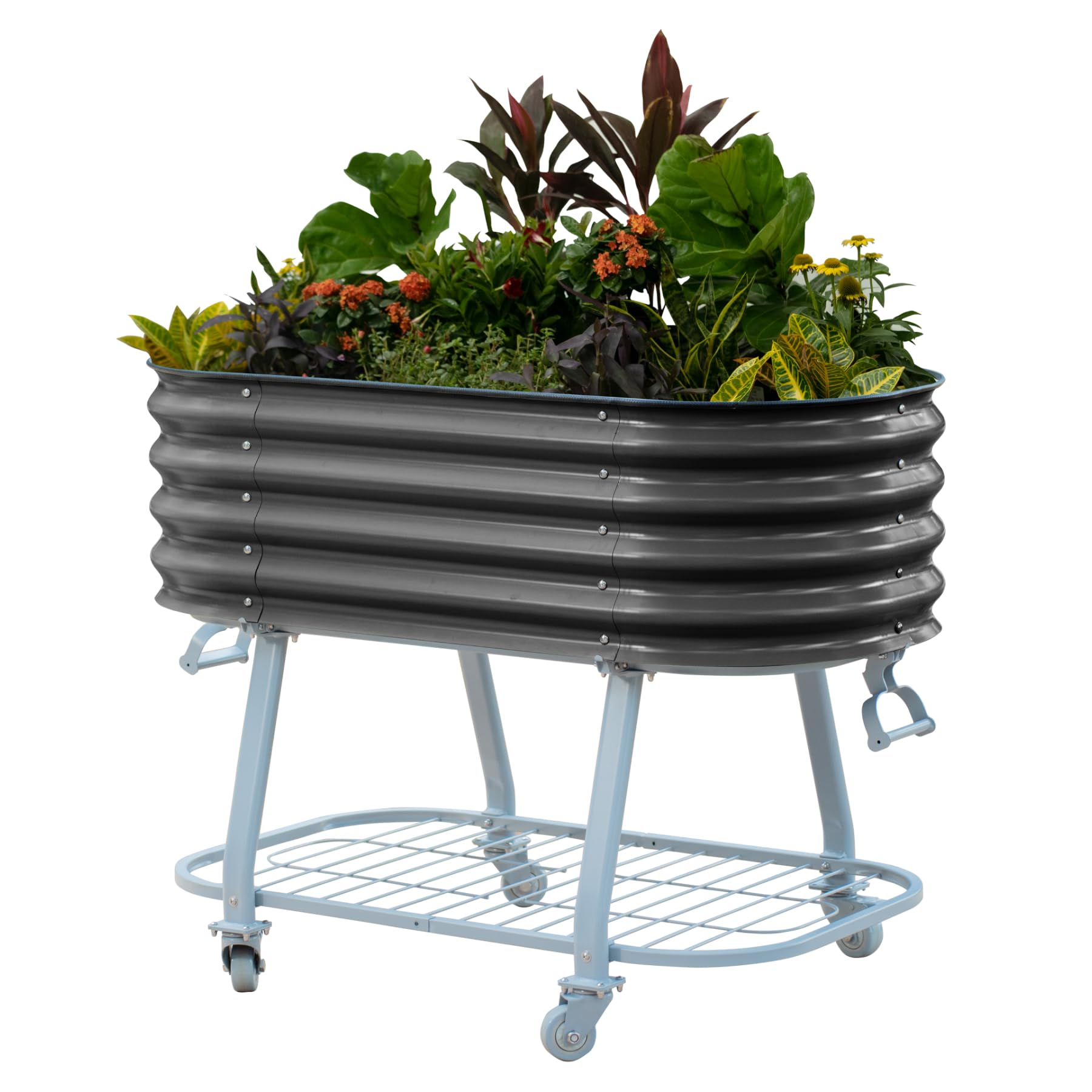 Amazon.com: Vego garden 2 x 4 ft Raised Garden Bed with Legs and ...