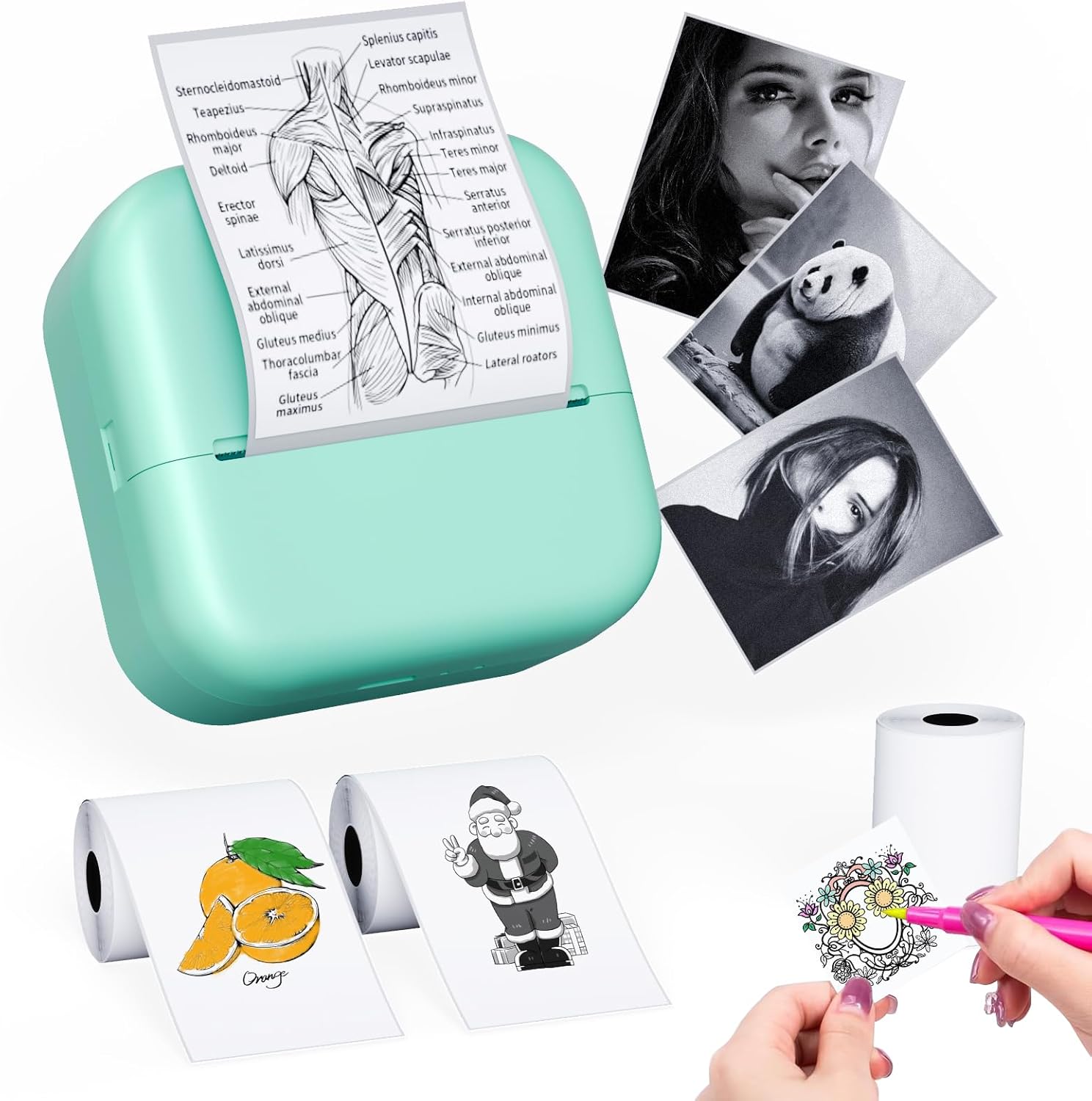 Mini Imprimante Portable, M02L Imprimante Photo Thermique sans Fil BT ...