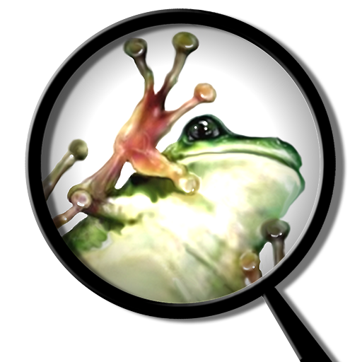 Froguts Frog Dissection (Kindle Fire HDX Tablet Edition) - App on ...