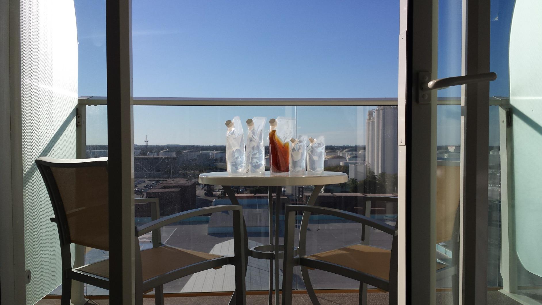 Amazon.com | Easy Traveler Genuine Rum Runner® Cruise Kit 3 32oz and 3 ...