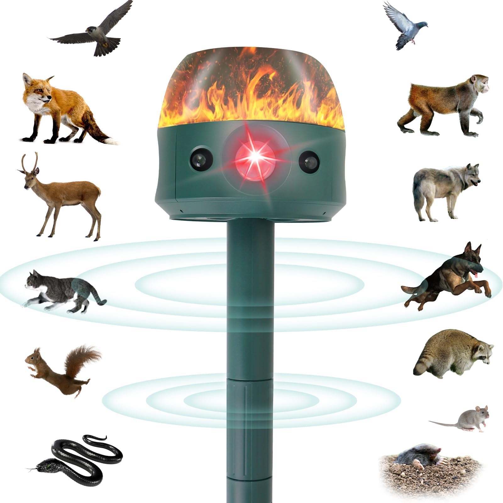 Amazon.com: Ultrasonic Solar Animal Repeller for Yard, 6 Modes Outdoor ...