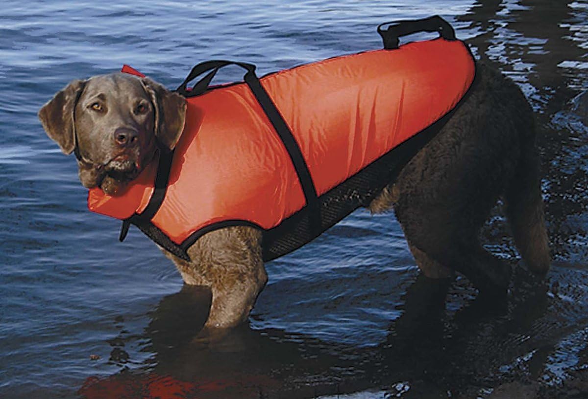 Amazon.com : Premier Fido Float Dog Life Vest, Medium, Orange : Safety ...