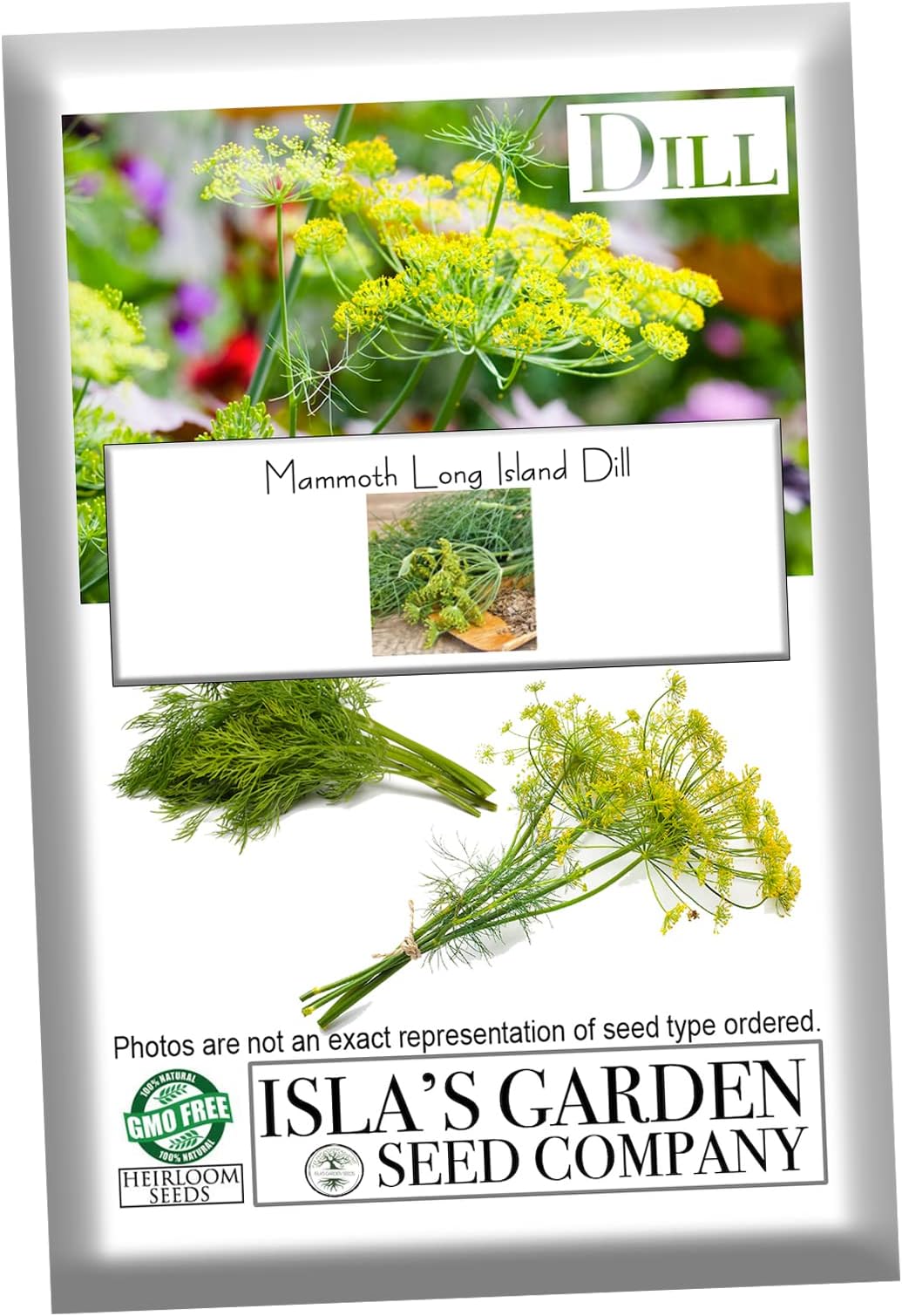 Amazon.com : NIKA SEEDS - Herb Dill Mammoth Giant Variety 40 Days ...