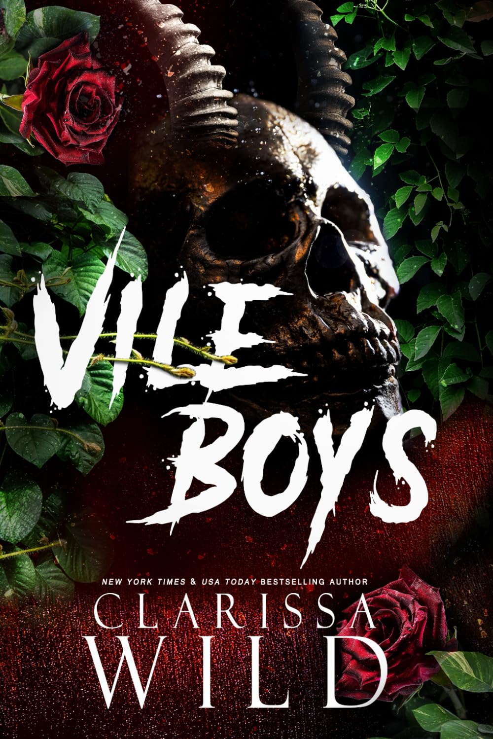 Amazon.com: Vile Boys (Spine Ridge University): 9798873732272: Wild ...