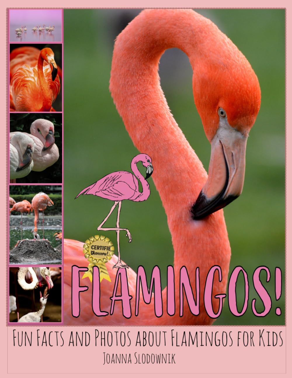 Flamingos! Fun Facts and Photos about Flamingos for Kids (Bird Books ...